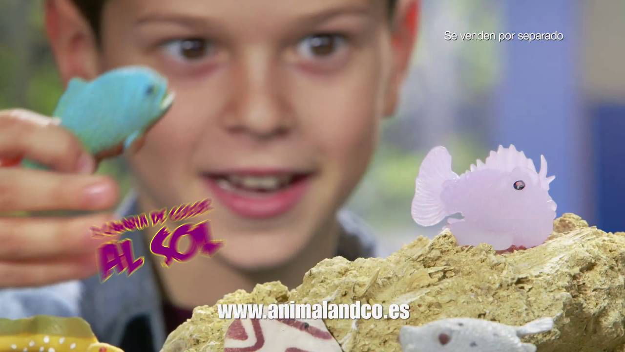 Pirañas and CO. - YouTube