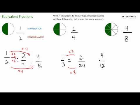 Equivalent Fractions tutorial - YouTube