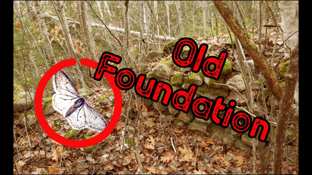 Messages From Moths || Halloween Investigation Series Feat. Sarah ...