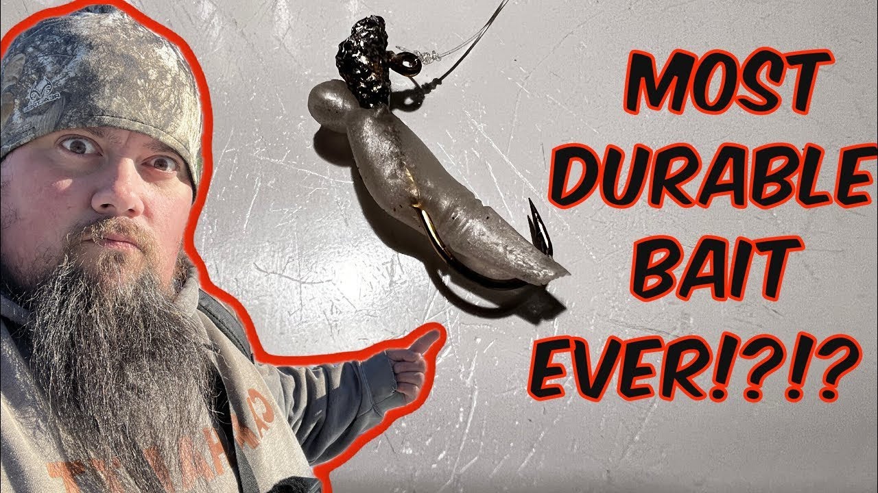 This bait caught OVER 100 fish !! ( Mule Fishing Baits ) - YouTube