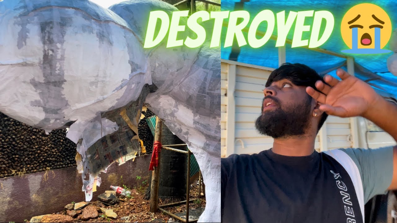 Our Narkasur got totally destroyed 😭(KING OF CANCA 👑) | Vlog 8 | Episode 5 |mister.mithil ...