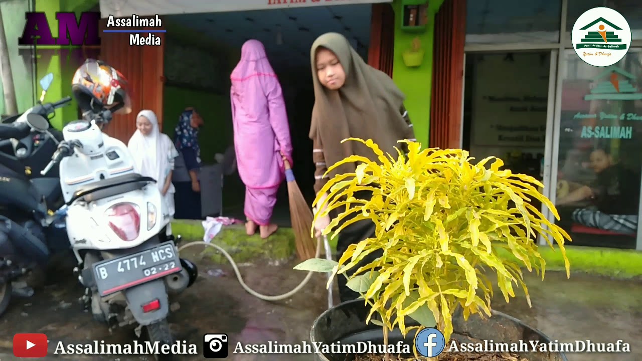 Operasi semut ( Bersih bersih ) - YouTube