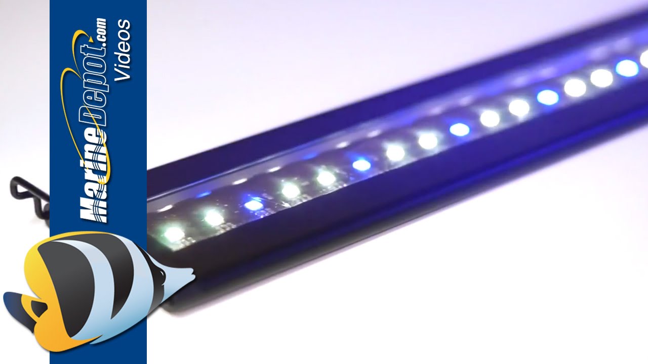 Current USA Satellite Plus Pro LED Light Fixture - Product Overview ...