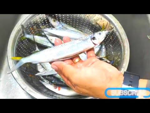 HOW TO MAKE SUPER CRISPY NEEDLE FISH FRY || INCREDIBLY DELICIOUS. - YouTube