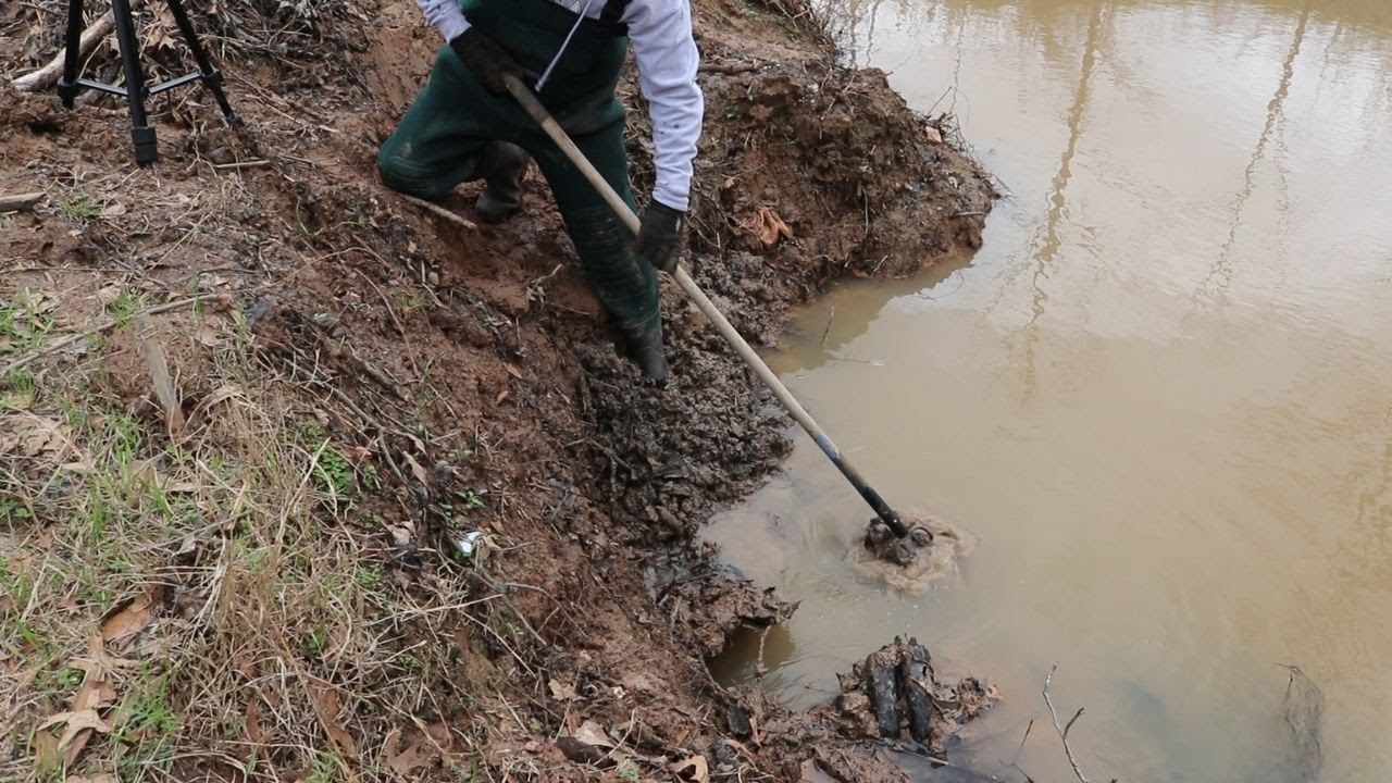 Unclogging a Culvert Pipe with a Beaver Dam - YouTube