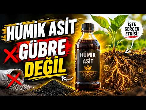 Hümik Asit Hakkında Herkesin Bilmesi Gerekenler