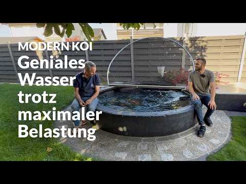 Alis und Arturs Aussenhälterung | Modern Koi Blog #7937