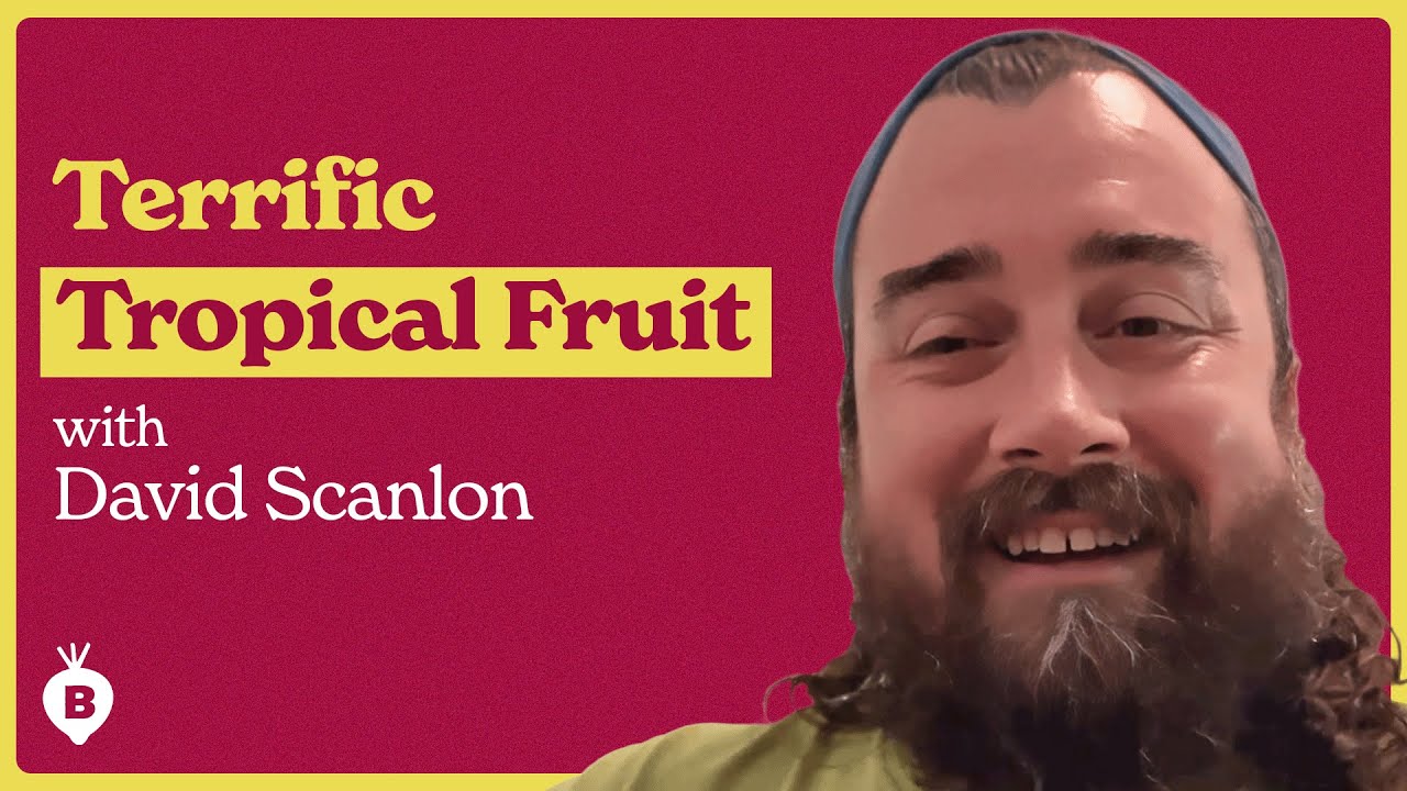 Growing Fruit For Your Climate with David Scanlon | The Beet - YouTube