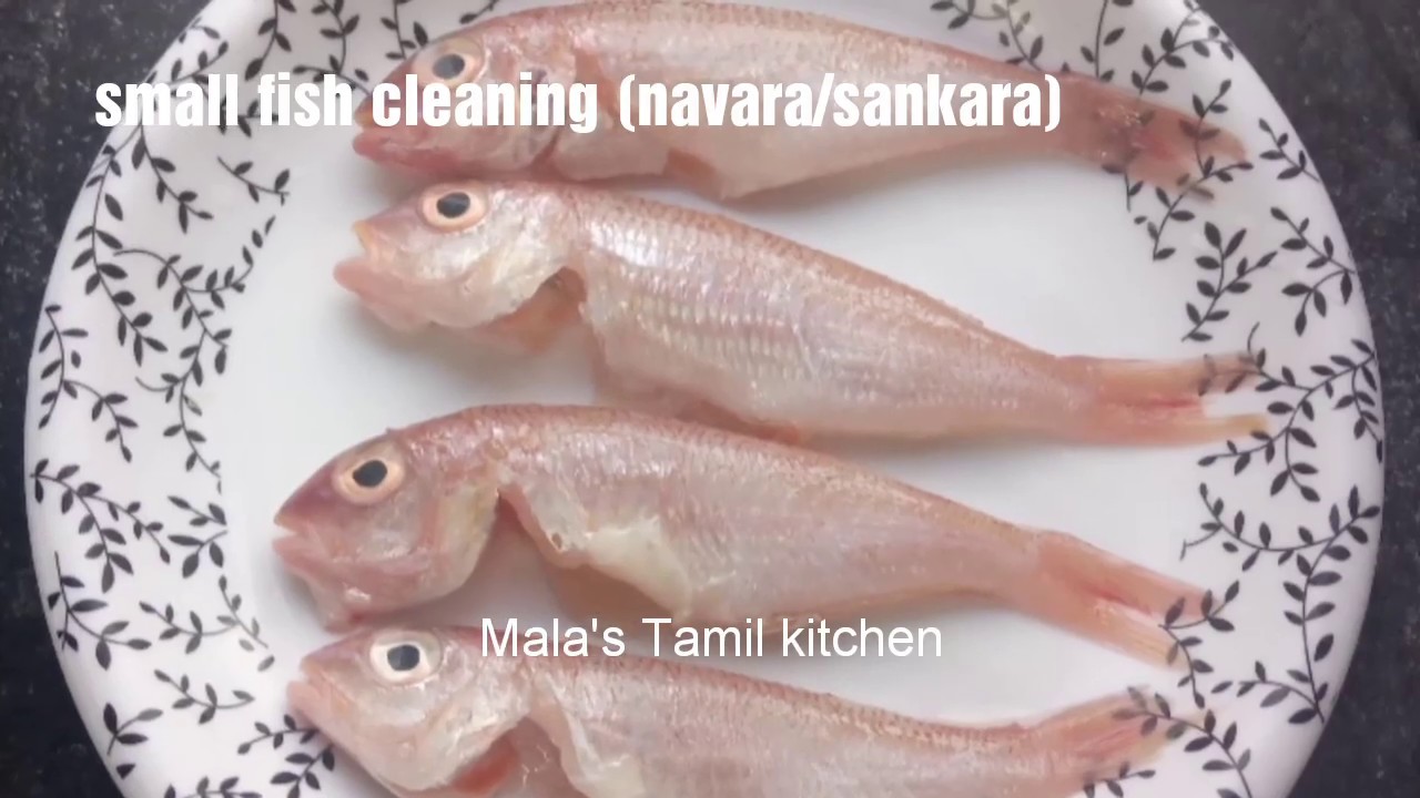 How to clean a Small fish/sankara fish cleaning/navara fish cleaning ...