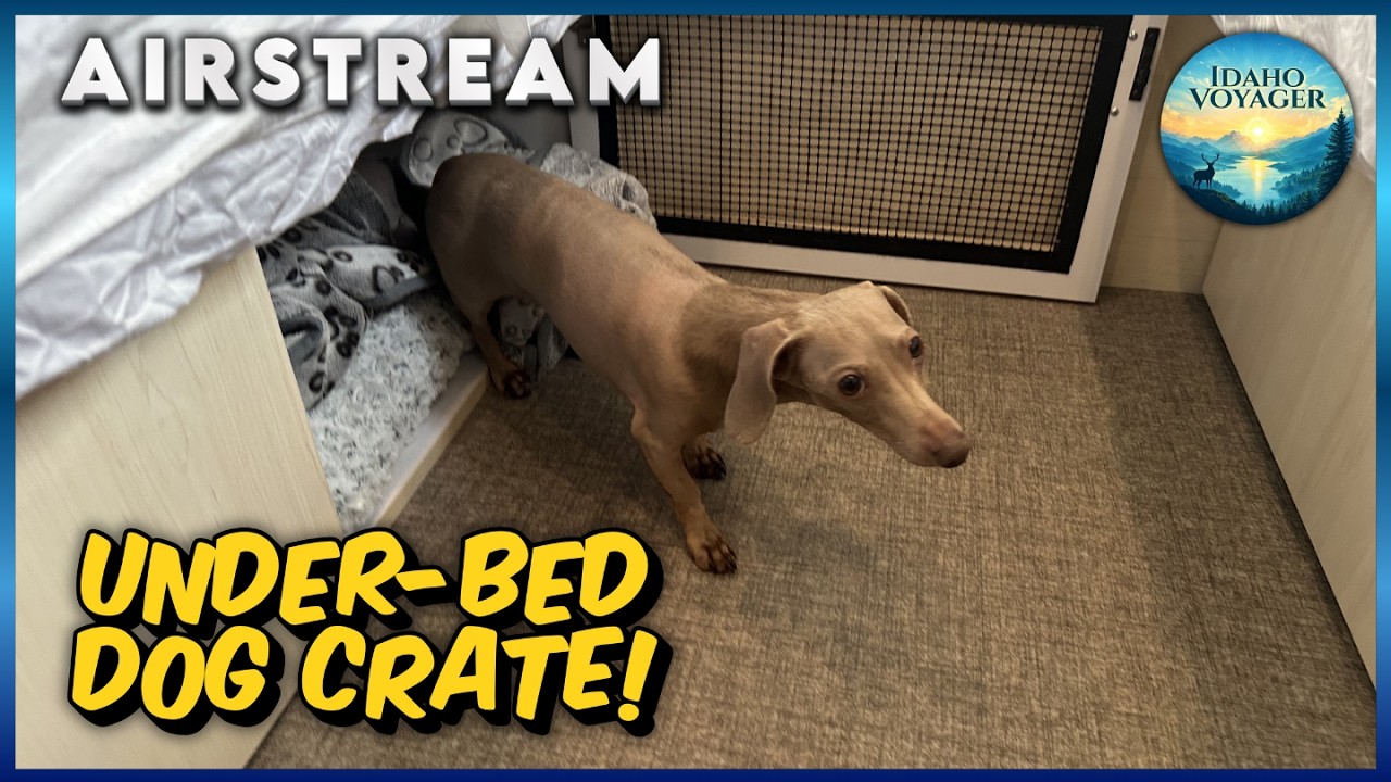 Custom DOG CRATE added under twin-bed of an AIRSTREAM - YouTube