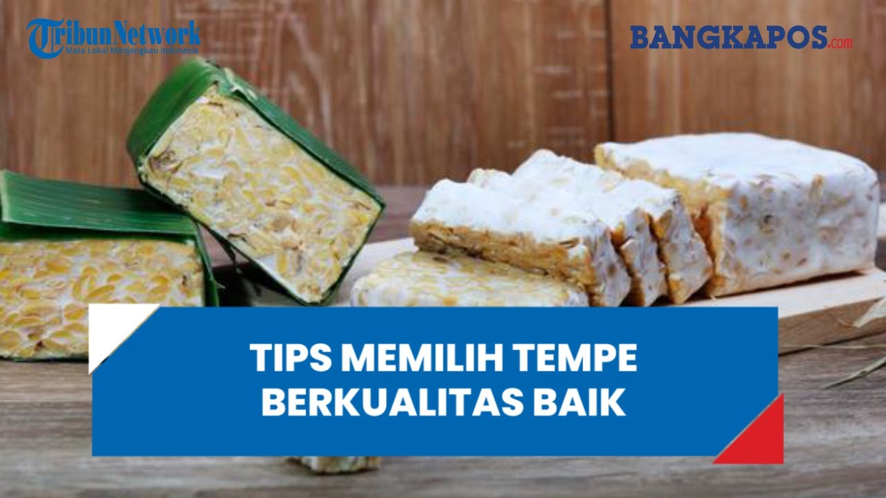 TIPS MEMILIH TEMPE BERKUALITAS BAIK - YouTube