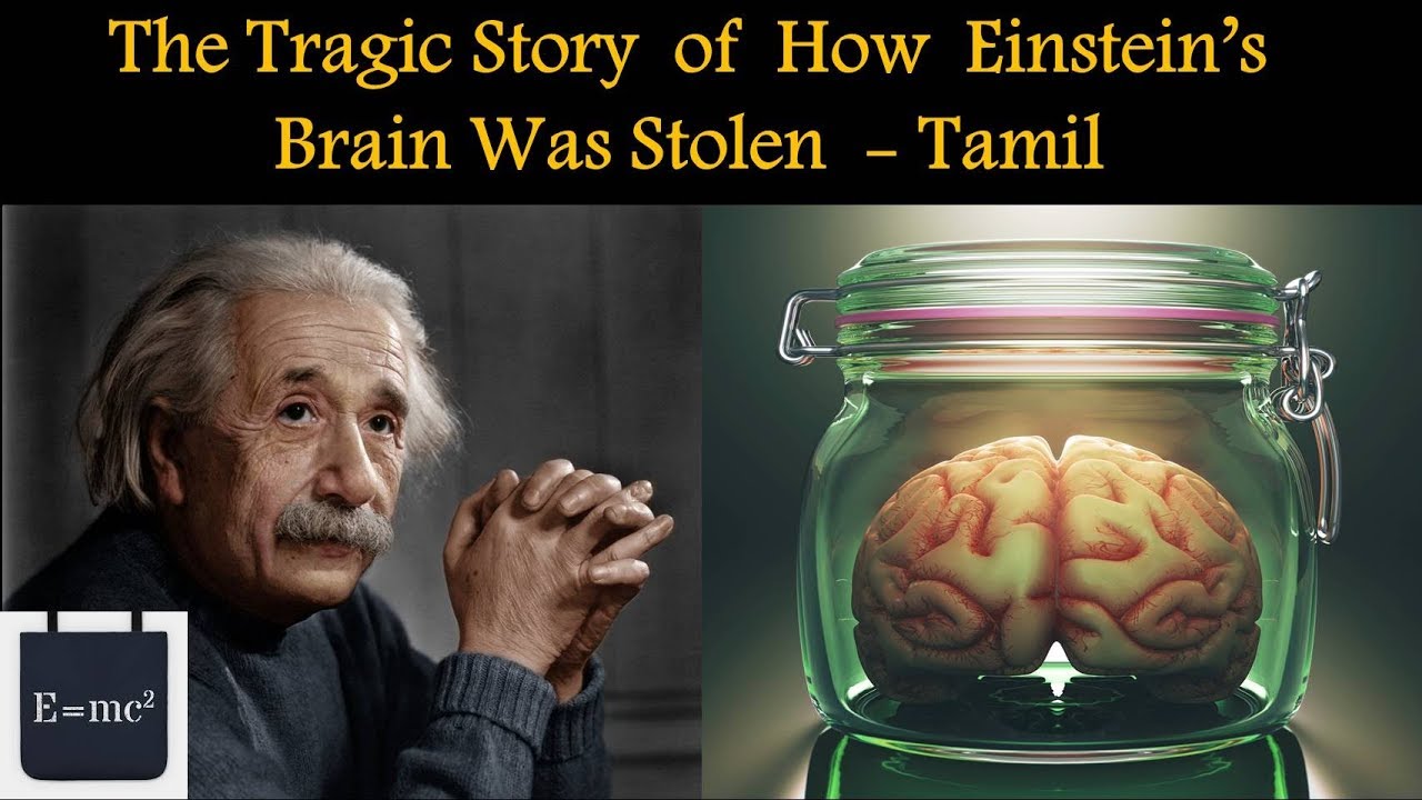 Albert Einsteins Brain In Jar