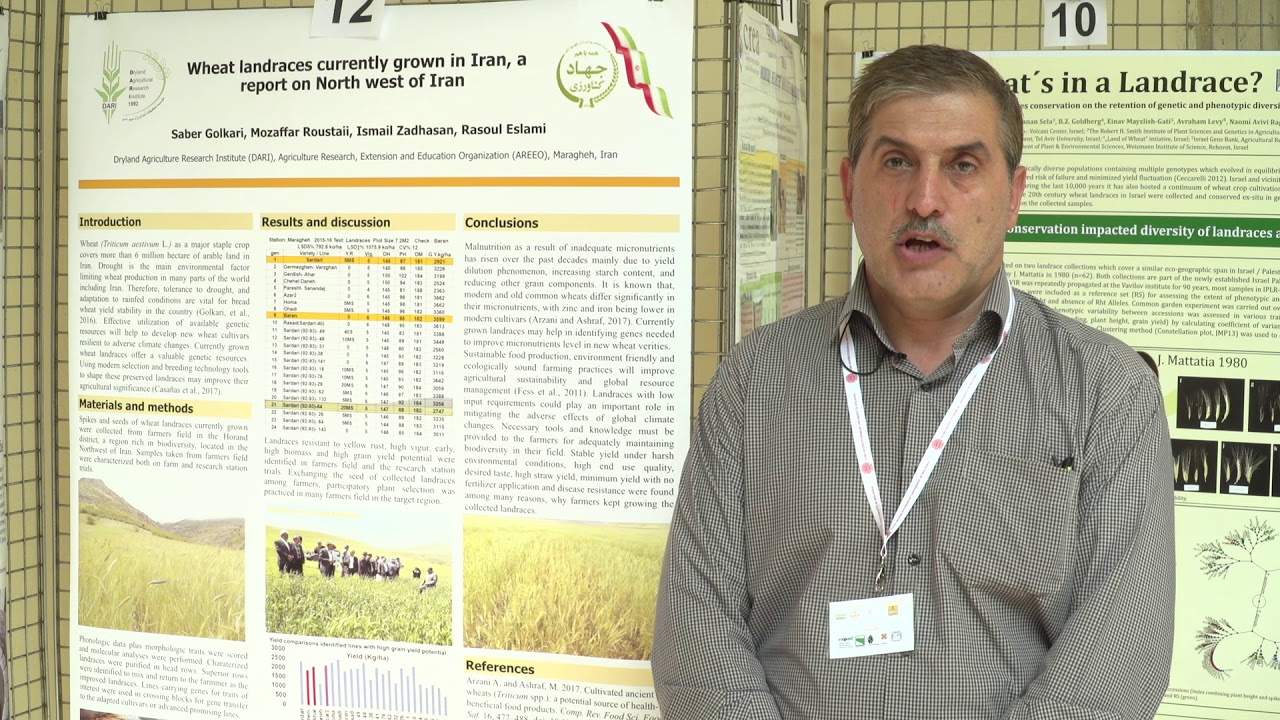 Wheat Landraces in Iran I Saber Golkari at ICWL18 - YouTube