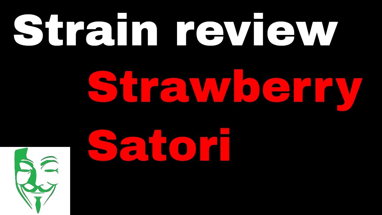 Strawberry Satori Strain review - YouTube