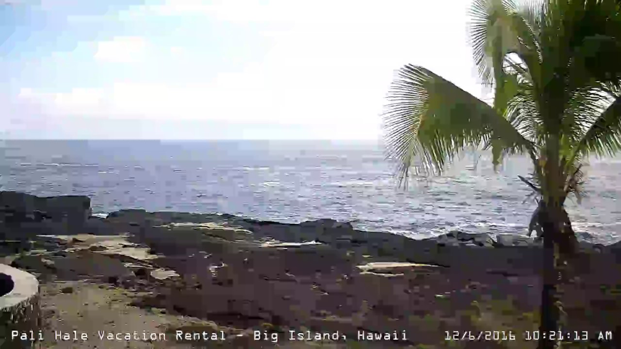 Pali Hale Live Stream from Puna Coast of Kea'au, Big Island Hawaii ...