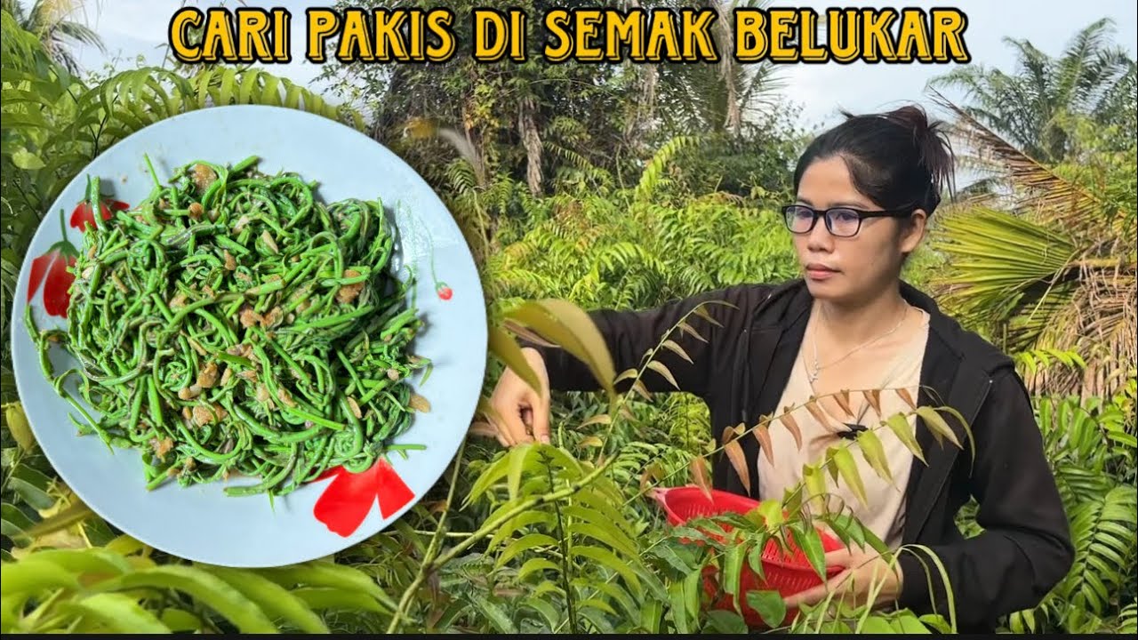 PERGI MENCARI SAYUR PAKIS DI SEMAK SEMAK BELUKAR BERSAMA ADIKKU - YouTube