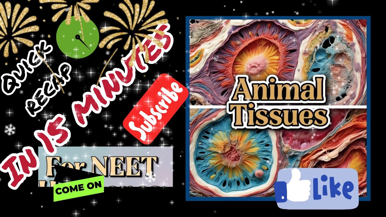 #Animal tissues # structural organisation of animals # types of animal ...