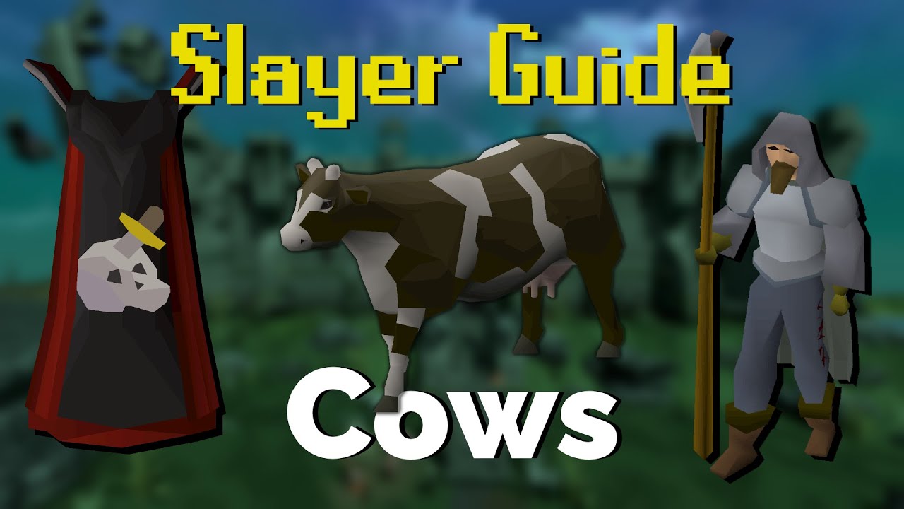 Cow Slayer Quick Guide OSRS - YouTube