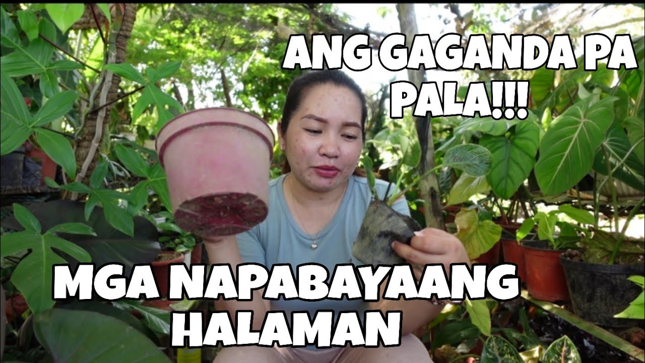 MGA NAPABAYAAN NA HALAMAN PAGANDAHIN ULIT NATIN SILA - YouTube