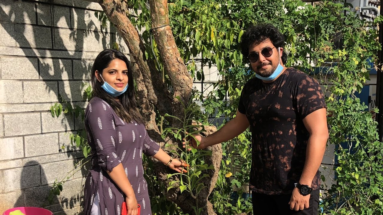 Actor Tanish Accepts Green India Challenge | Actor Tanish | Green India ...