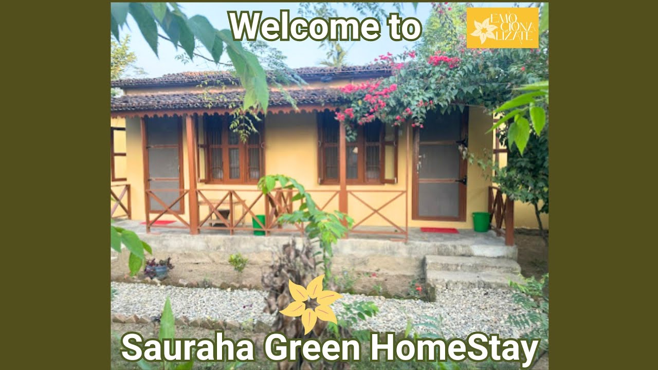 Bienvenid@s/Welcome to Sauraha Green Homestay (Nepal) 🌿🛖 #sauraha # ...