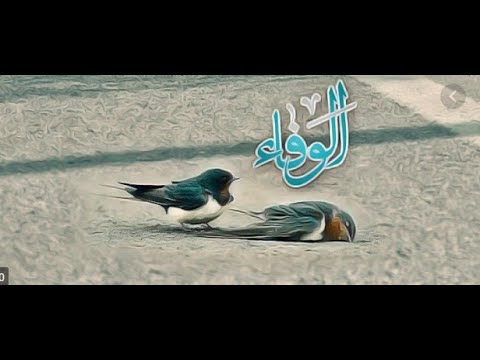 VEFA ve NANKÖRLÜK / Silsiletü’l - Lisan