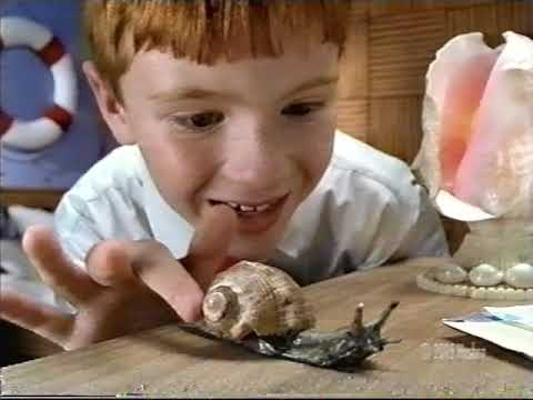 Nickelodeon - Commercials, Bumpers, Promos, and Split Screen Credits from December 2, 2005