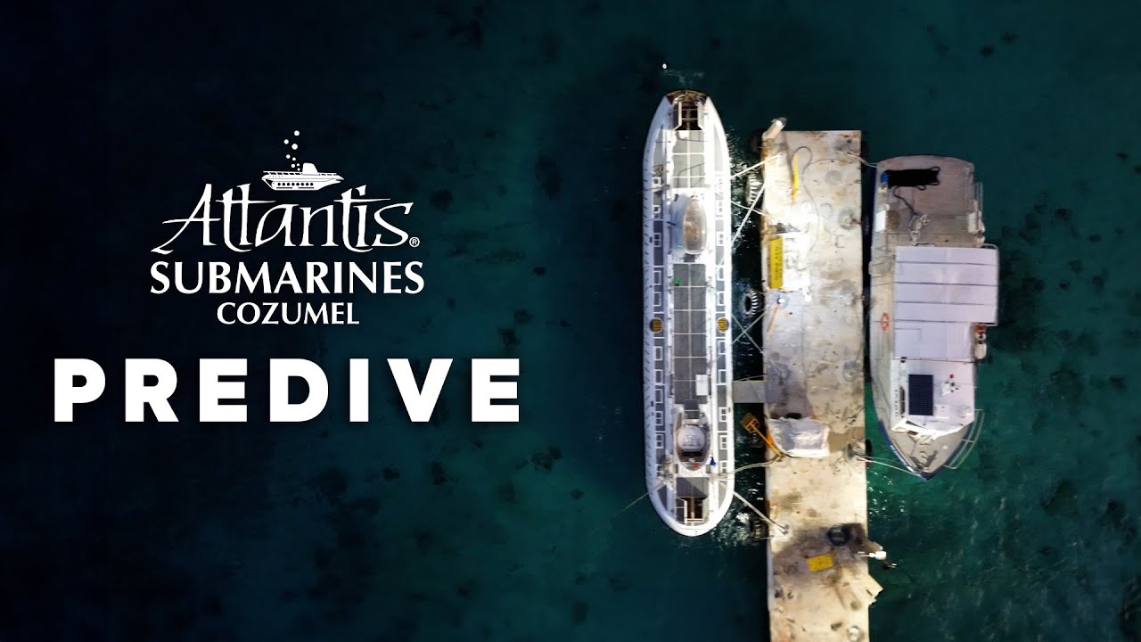 Predive process! / Atlantis Submarines Cozumel - YouTube