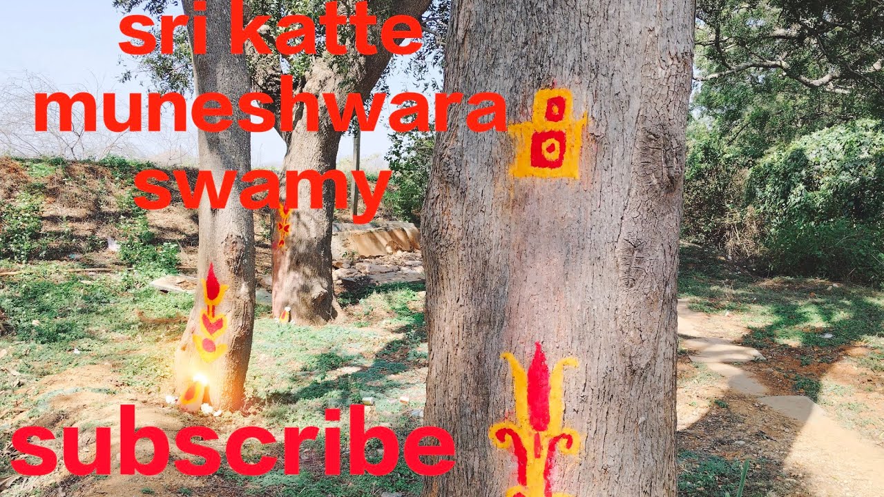 Sri Katte Muneshwara Swamy Temple Miracal tree 🌲 🌲 - YouTube