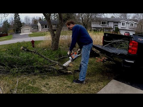 Spring Storm Damage Cleanup using Stihl MS182 - YouTube