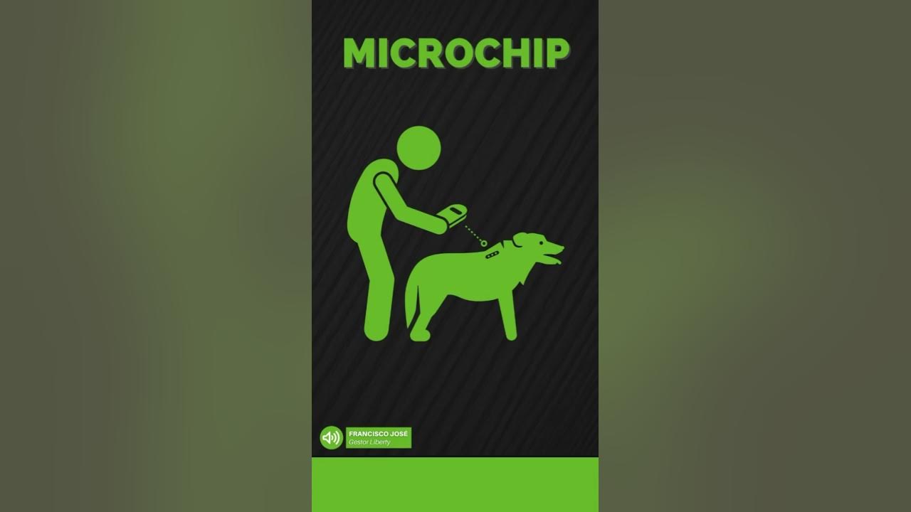 Microchip - YouTube
