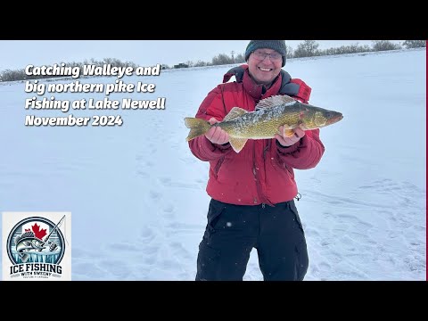 First Ice fishing of 24 25 season Lake Newell Big Walleyes and Northern ...