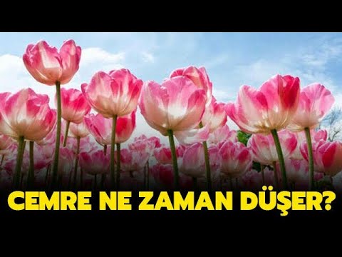 Cemre Ne Zaman Düşecek? 2020 Yılı Cemre Düşme Tarihleri