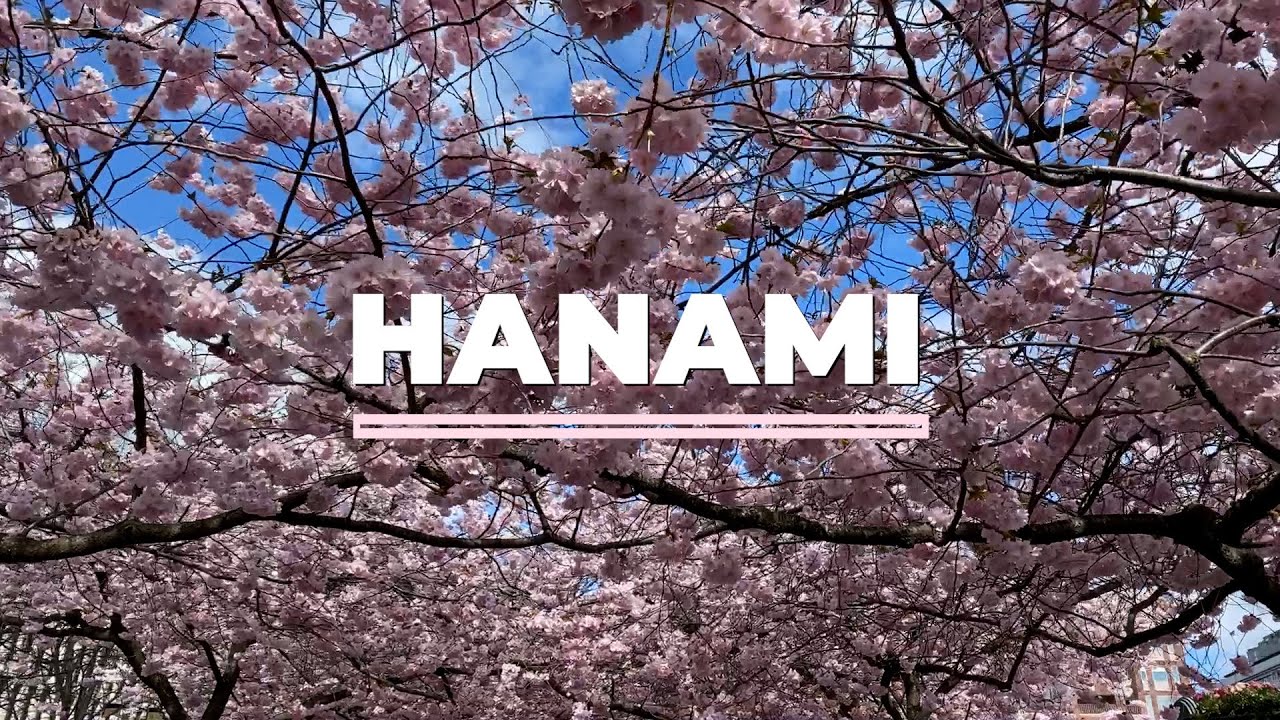 Hanami - YouTube