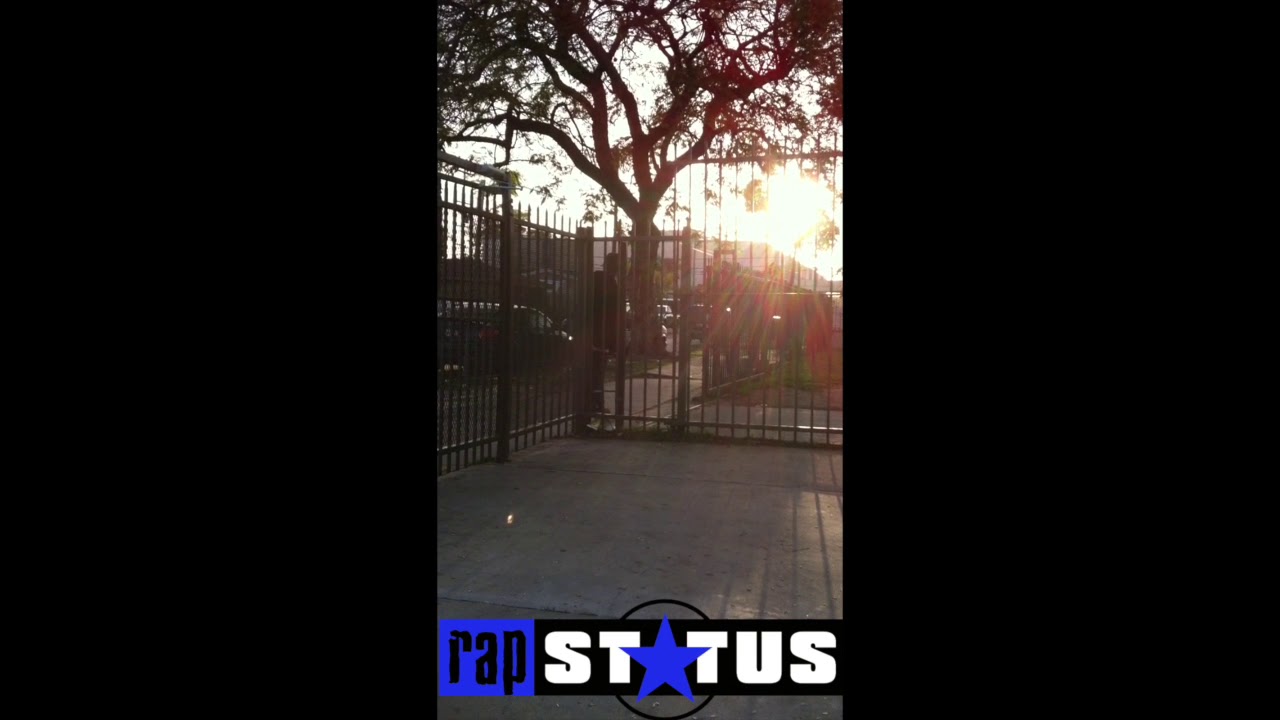 Grape Street Watts Crip Corey High On PCP In The "94 Hoover Criminals ...