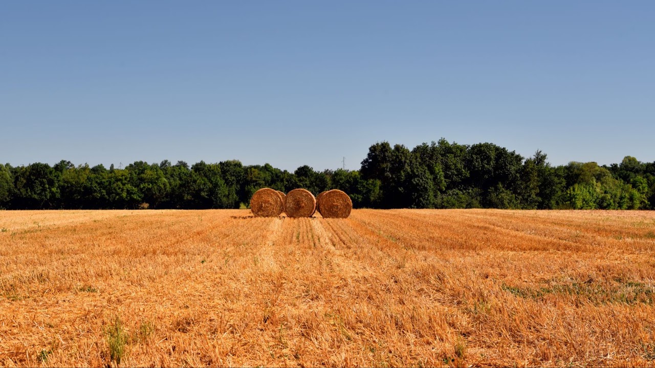 City of Henning Council Meetings - YouTube