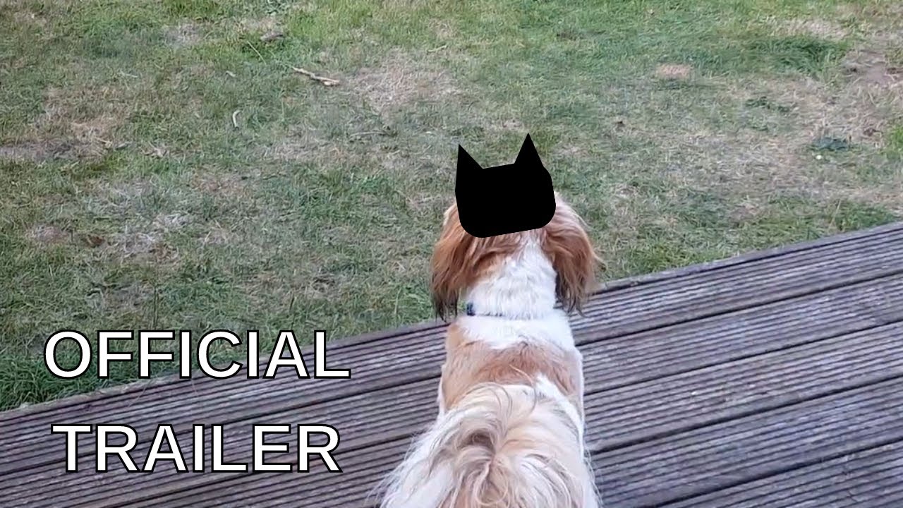 The Dog Knight | Official Trailer - YouTube