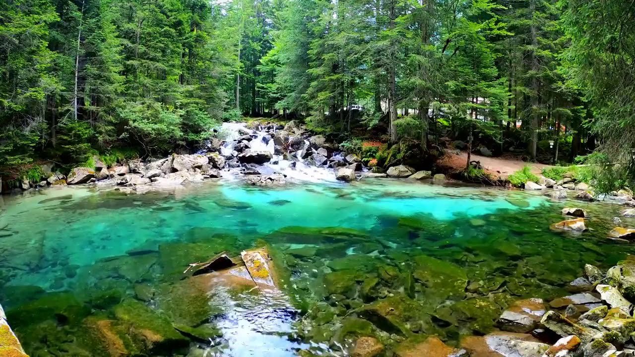 Relaxing Forest Turquoise River with Waterfall. Nature soothing Sounds ...