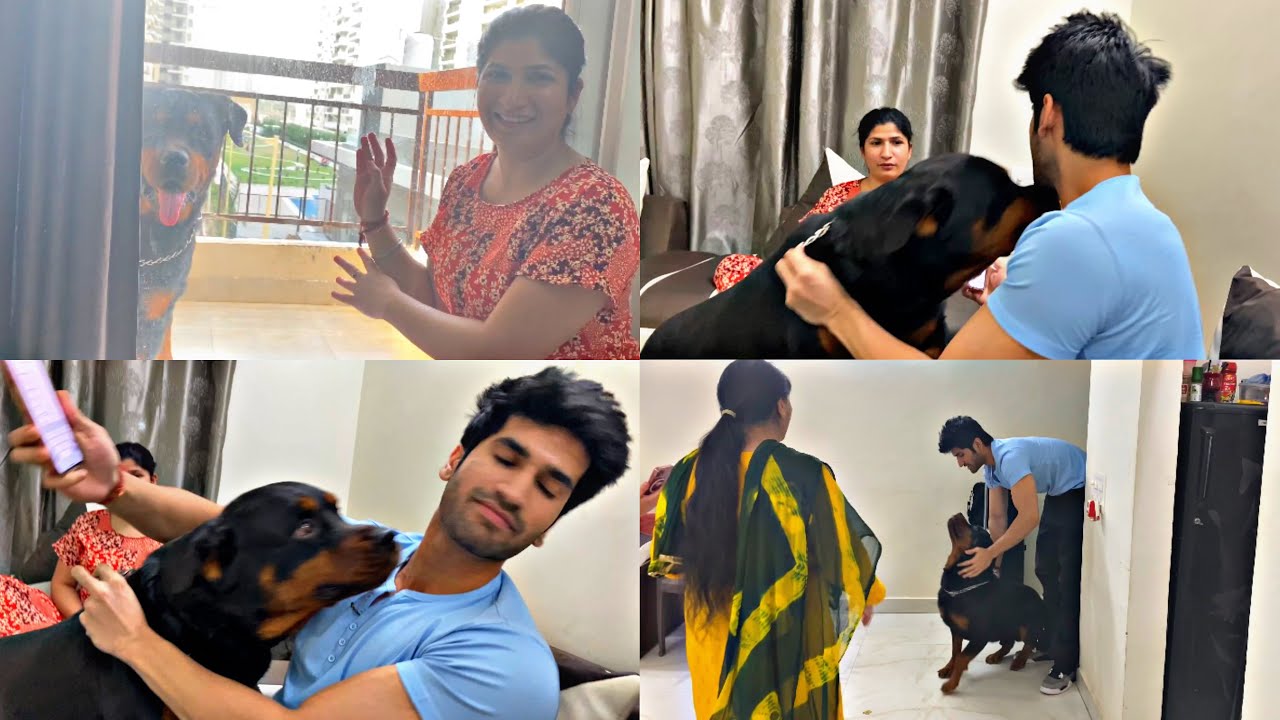 Ron Ka Asli Owner Aagya || Ron Khusi se Pagal #rottweilerron - YouTube