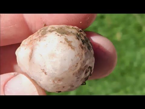 @AZFortificationAgates Finally Finds a Full Faced AZ Fortification ...