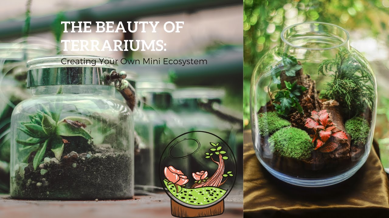 Terrarium Magic: Crafting Your Miniature Nature Haven! - YouTube