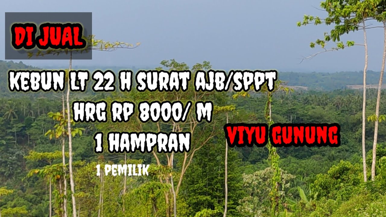 Di jual tanah LT 22 H SURAT AJB/ SPPT HRGA 8000/ M WA 083866596999 ...