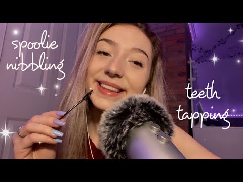ASMR spoolie nibbling + teeth tapping🌟(major mouth sounds) - YouTube