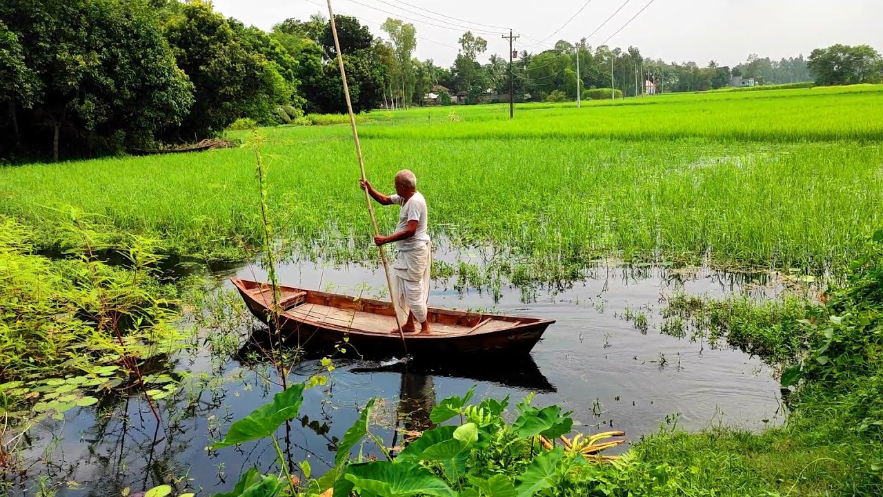 simple village life style🌴 our daily simple village life | | simple ...