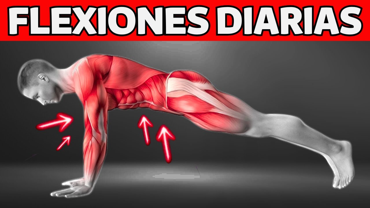 La Ciencia REVELA Cuantas FLEXIONES Diarias Hacer Para Desarrollar ...