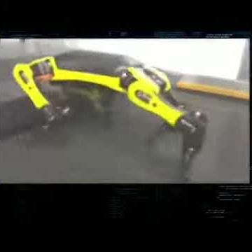 robot dog running on a treadmill petlover robotics Kickstarter Petoi Bittle OpenCat Raspberry Pi ...