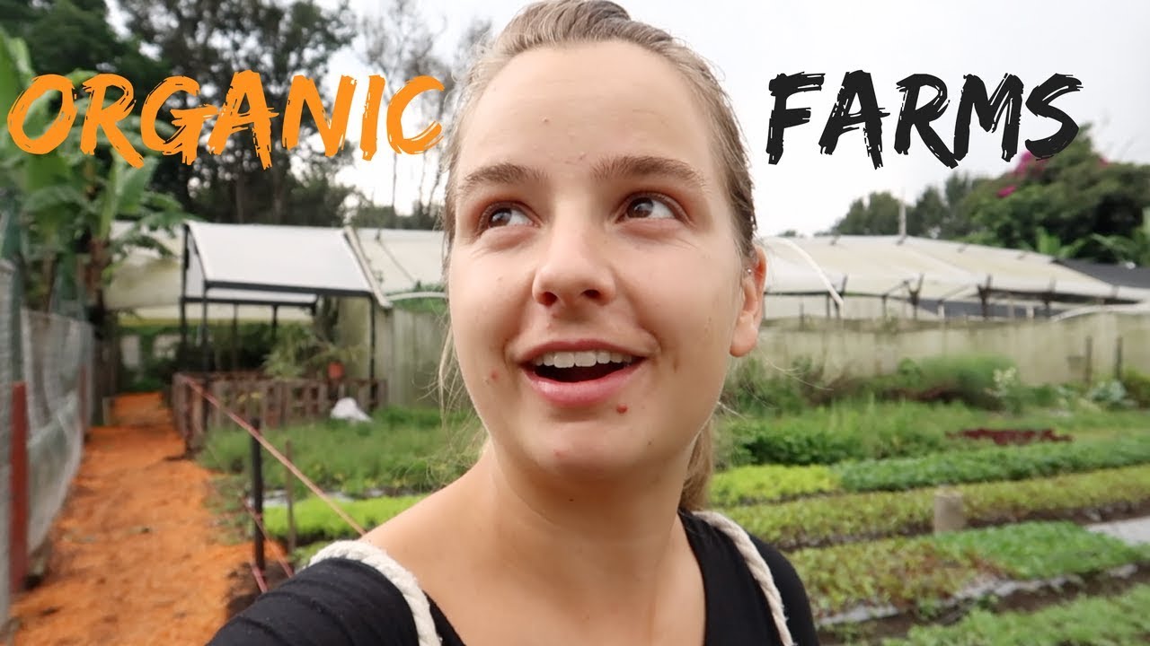 caoba organic farms in Antigua Guatemala. - YouTube