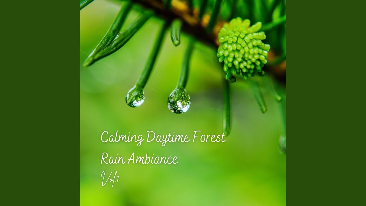 Drizzle That Relaxes - YouTube