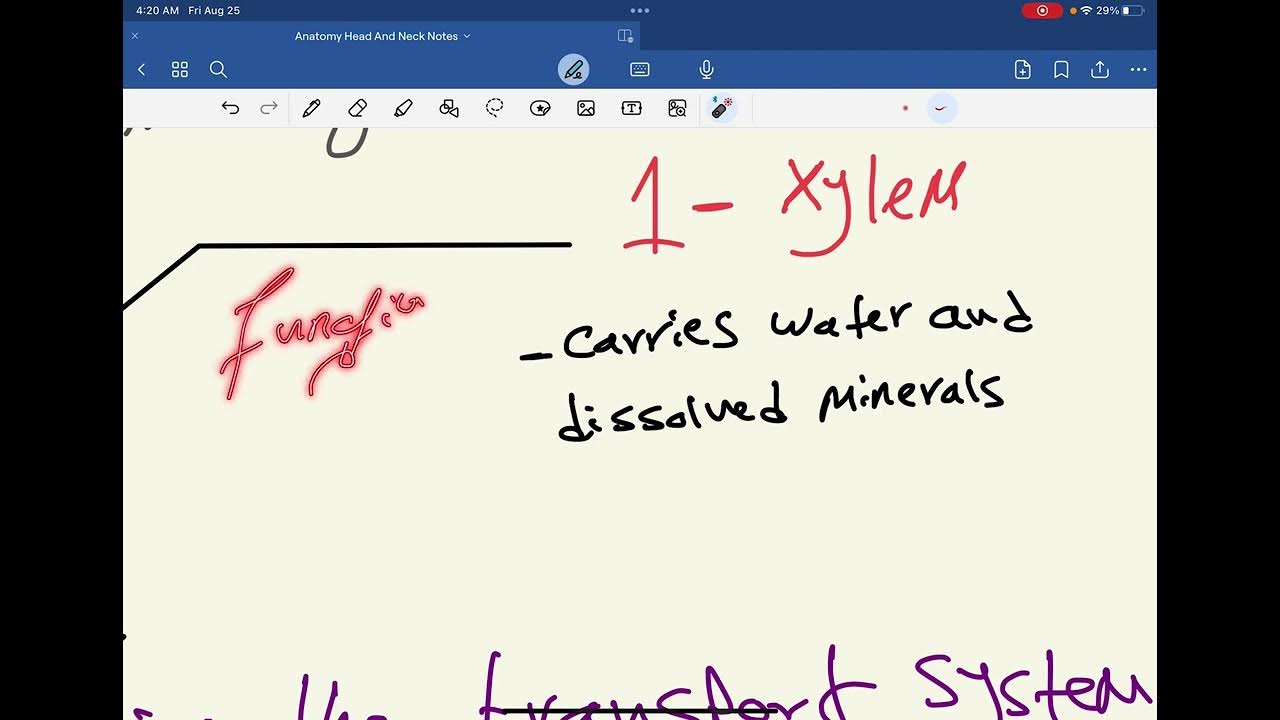 Chapter 6 lecture 3 - YouTube