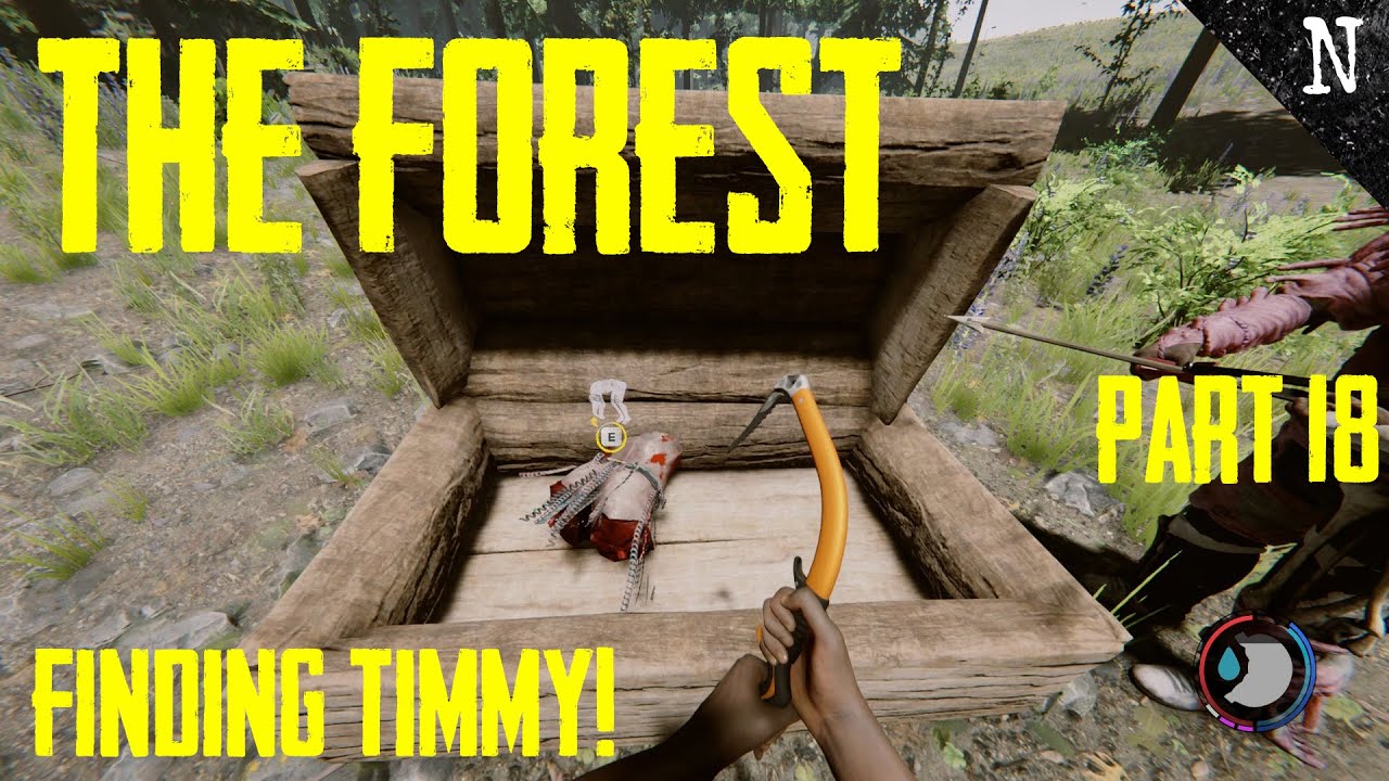 The Forest | Finding Timmy | Series 1 | Part 18 | Shipwreck, Coffin ...